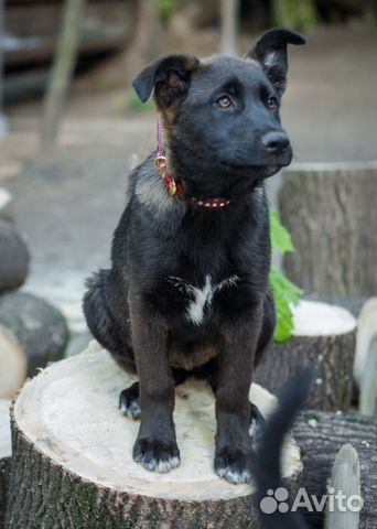 Подросток Барбара - роскошный, весёлый малыш