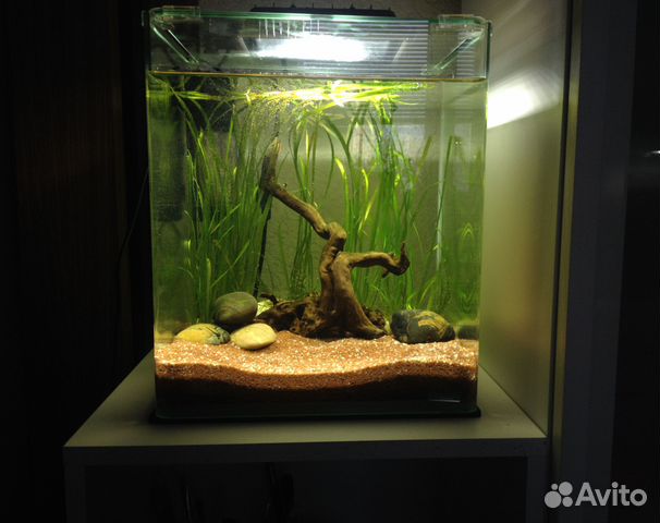 Аквариум NanoCube 30L