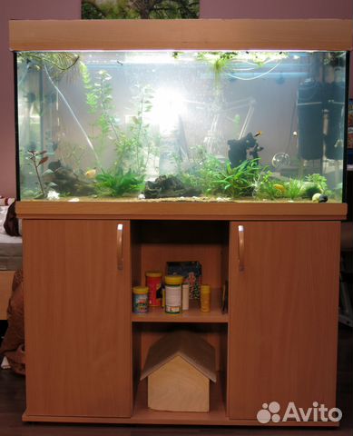 Аквариум 200 литров с тумбой и рыбами