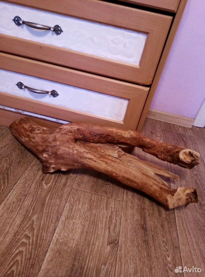 Коряга