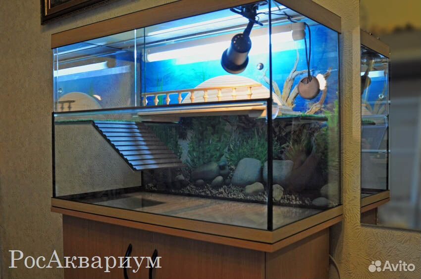 Аквапарк для красноухой черепахи