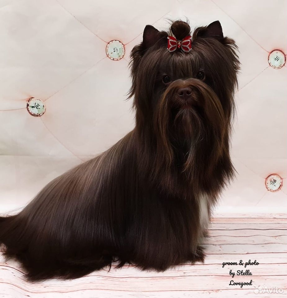 Приглашаем на вязку