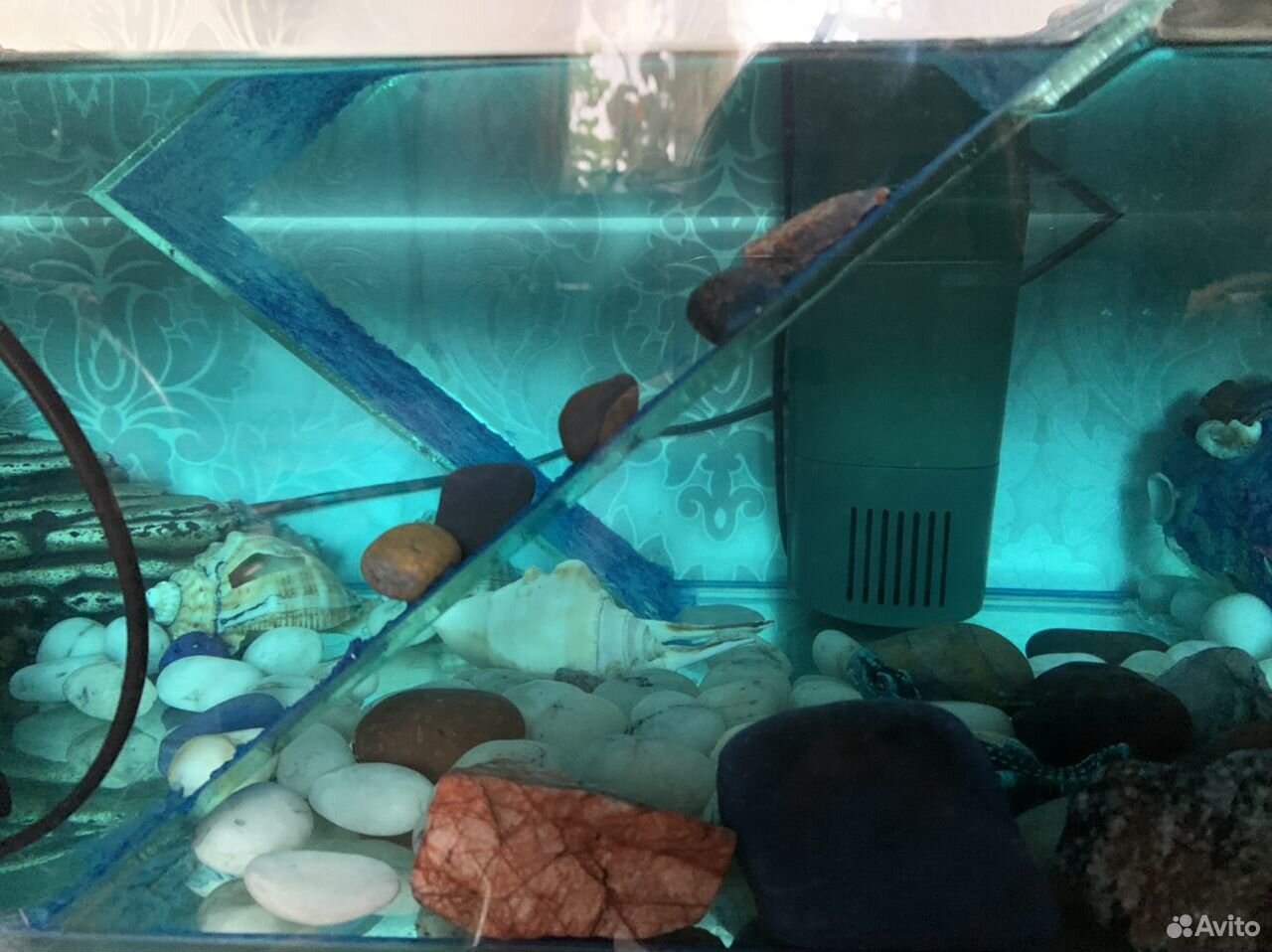 Красноухие черепахи со всем что нужно для них