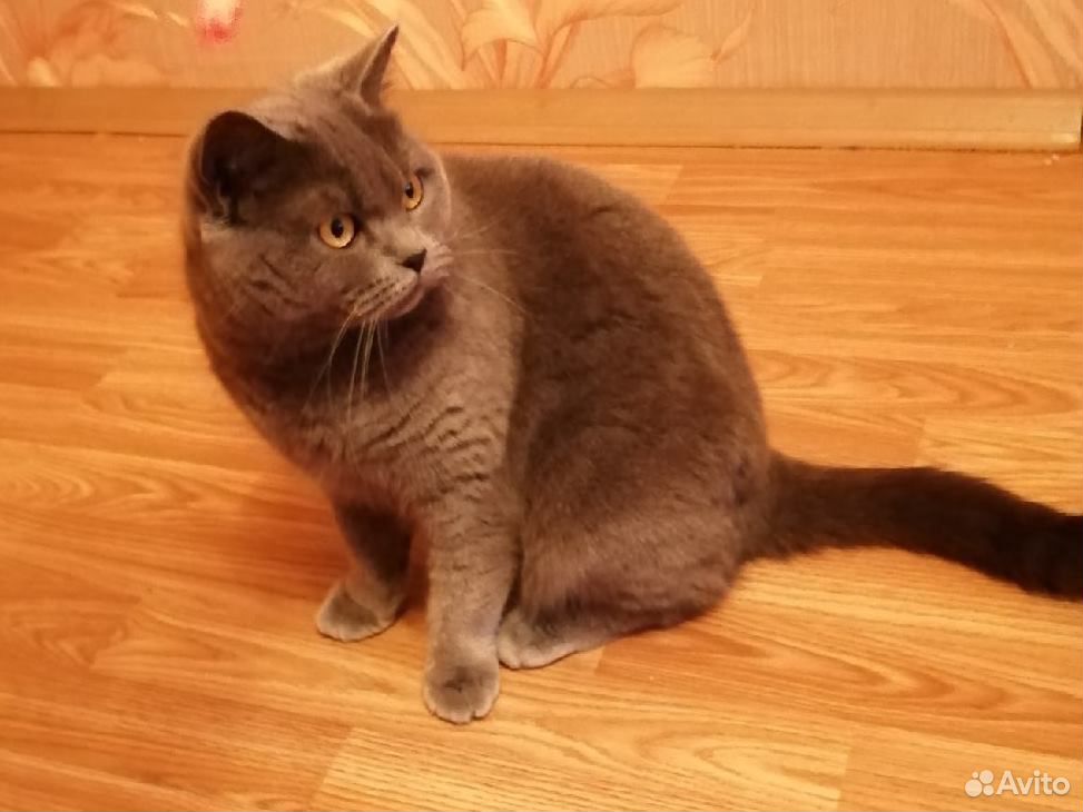 Соня, 2 года