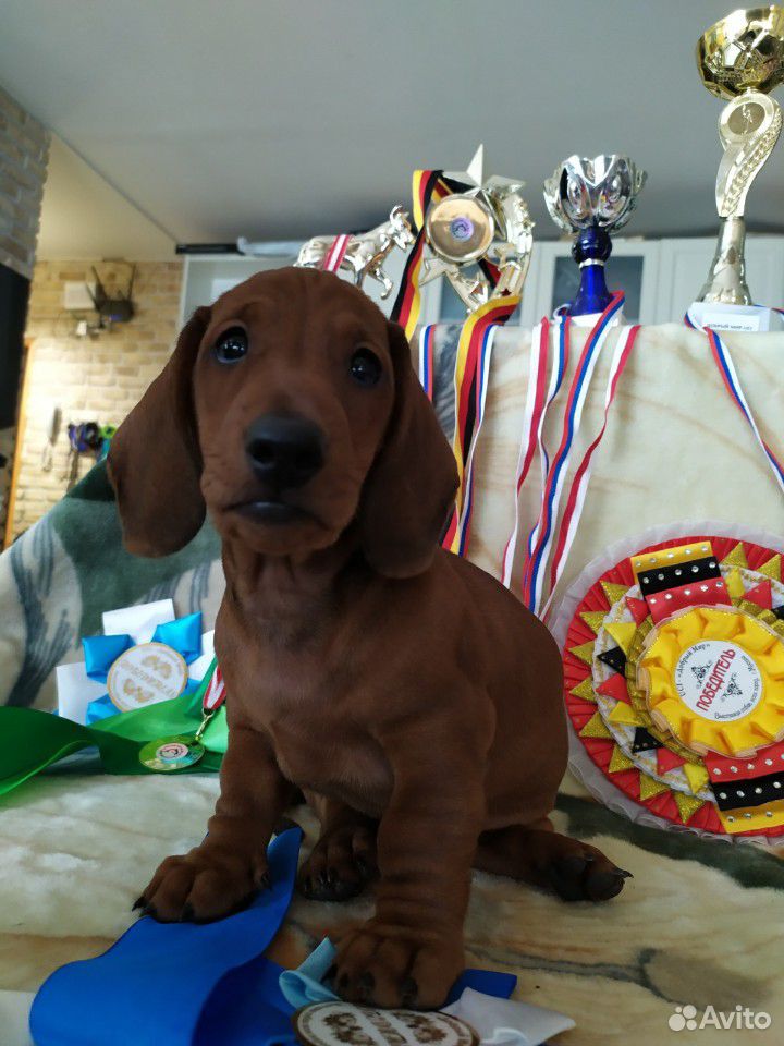 Таксомальчик