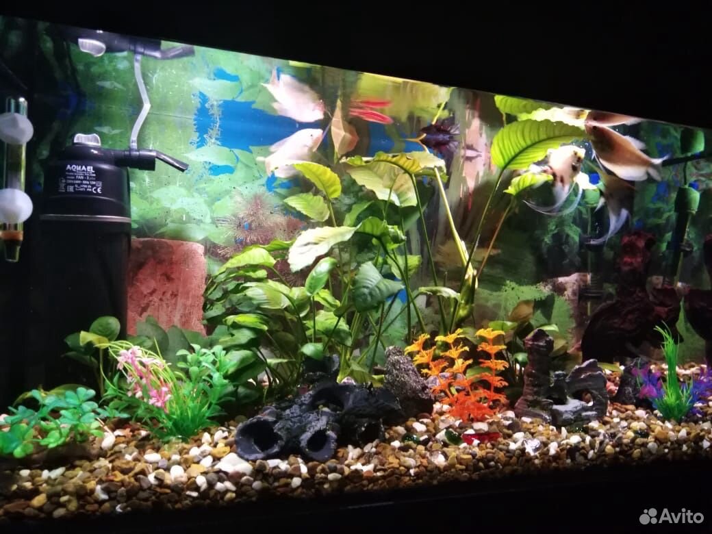 Аквариум