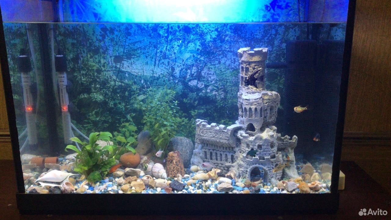 Аквариум