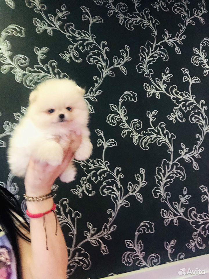 Мини мальчик «айс крем»