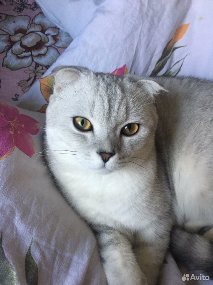 Котик для вязки