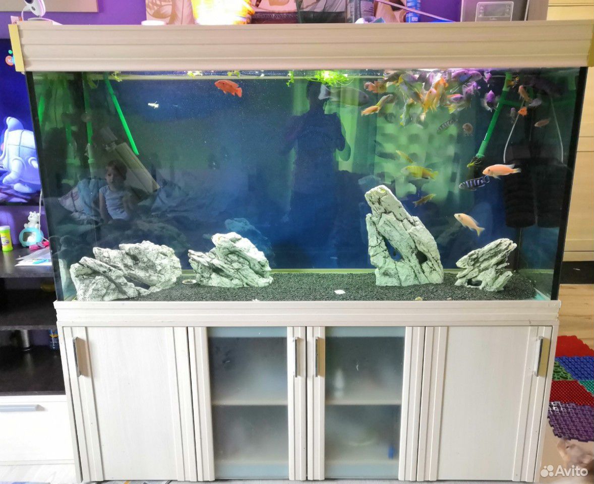 Аквариум 650л