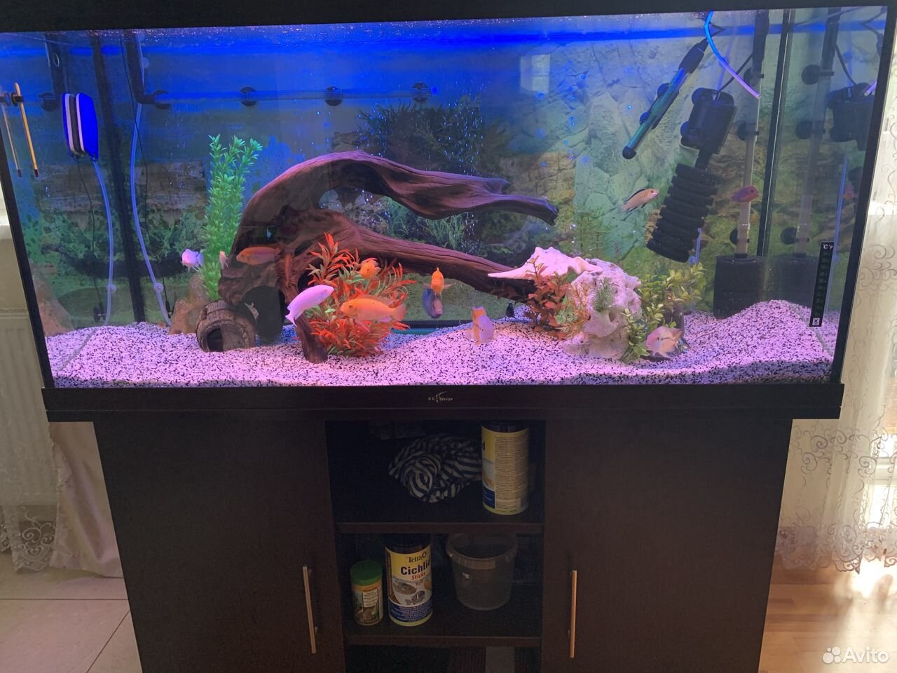 Аквариум