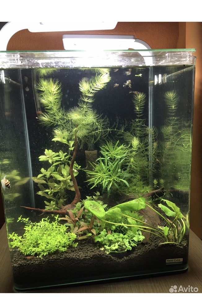 Аквариум Деннерле куб 30 литров