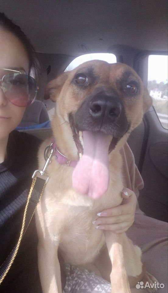 Щеночек Боня(Бонечка) ищет дом, семью