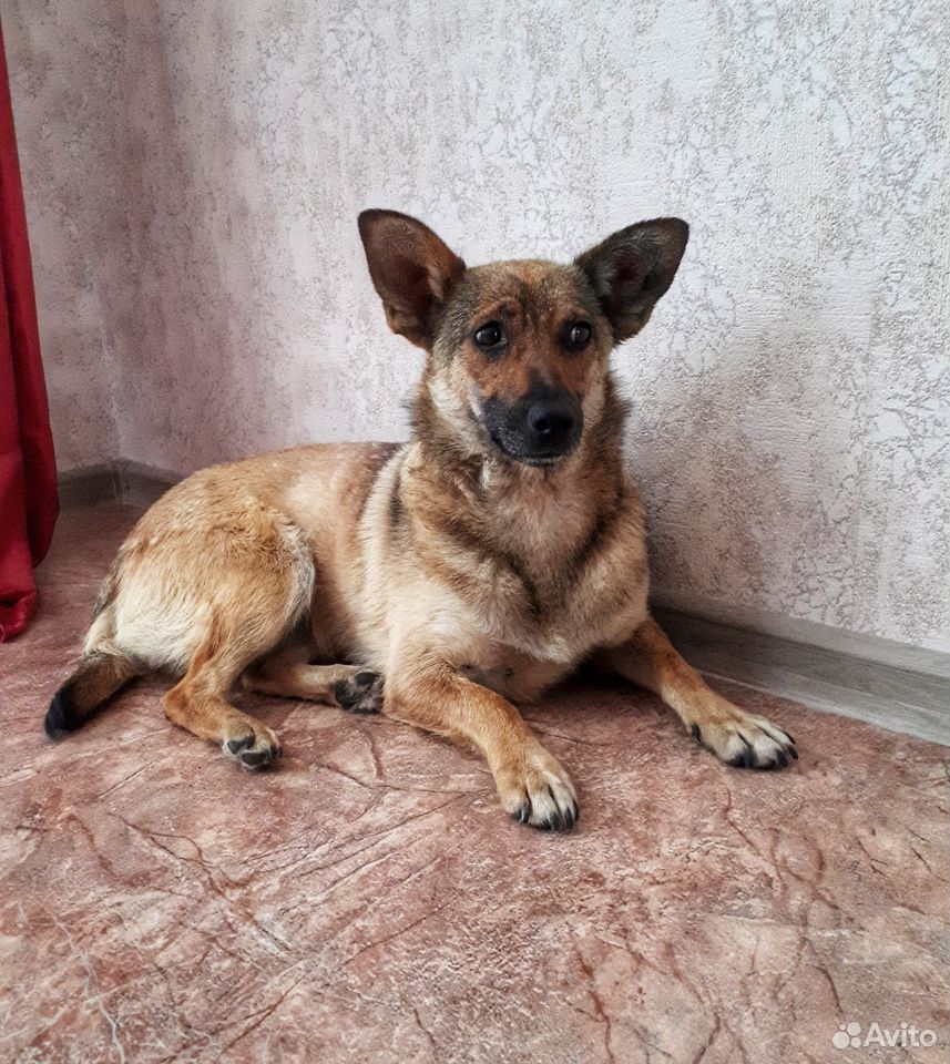 Тося ищет семью