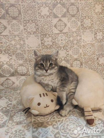 Маленький Пухляш