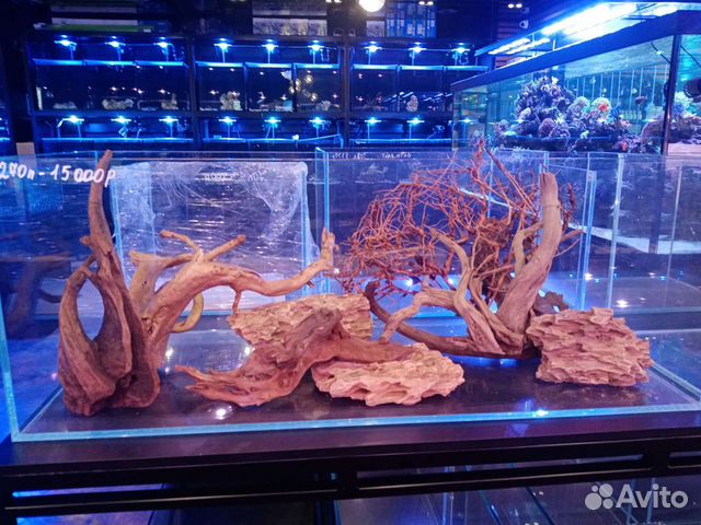 Коряги декоративные