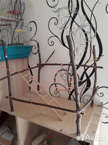 Стенд игровой для попугаев