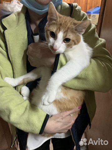 Красавчик 8 месяцев