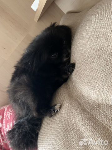 Принцесса для вязки