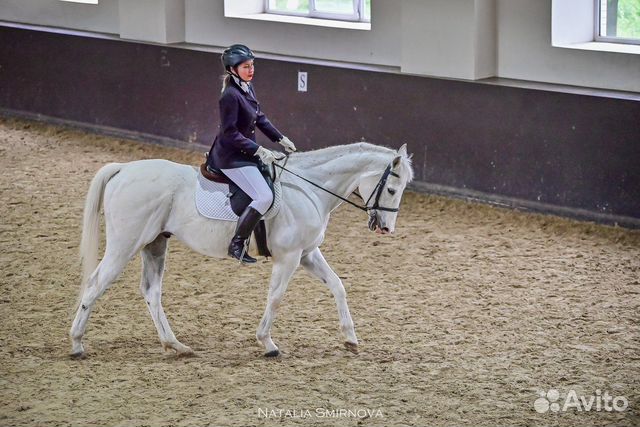 Продается лошадь