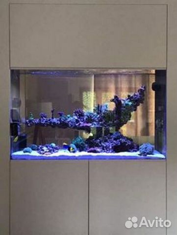 Морской аквариум