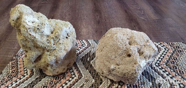 Сухой рифовый камень срк для морского аквариума