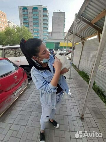 Mini декоративный кролик