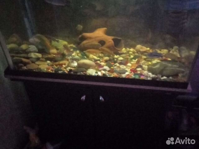 Аквариум