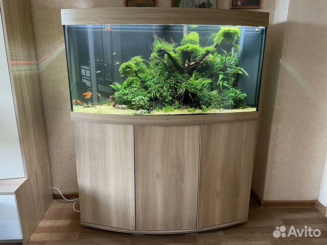 Аквариум Juwel Vision 260 LED