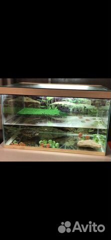 Террариум с черепахой