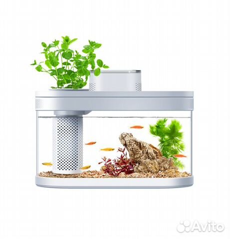 Акваферма Descriptive Geometry C180 Smart Fish