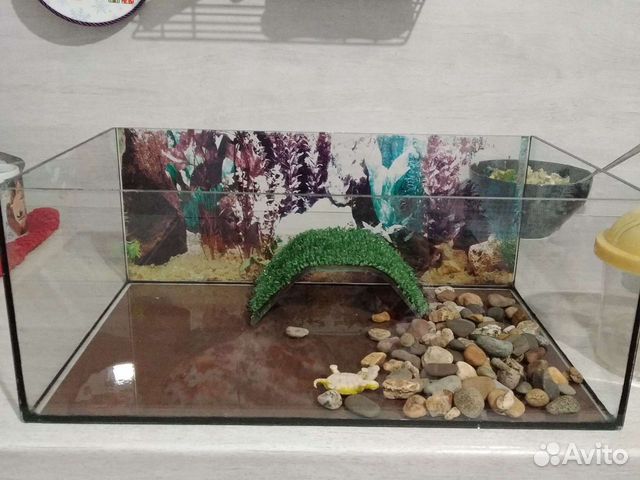 Аквариум для черепахи