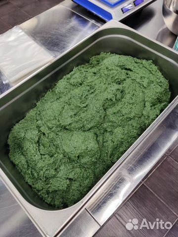 Фарш для Дискусов