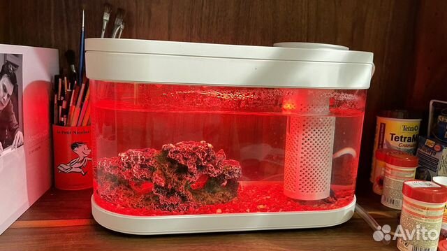 Аквариум xiaomi
