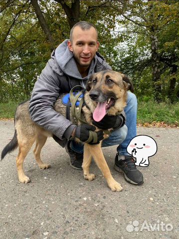 Никас совсем щенок, возьми себе