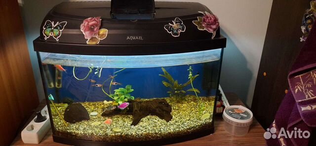 Аквариум 54литра вместе со всем содержимым