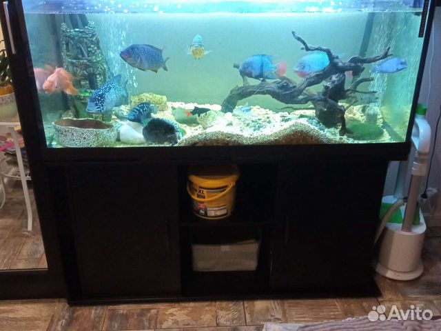 Аквариум в сборе