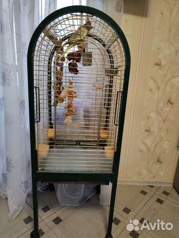 Попугаи Коррела с вольером