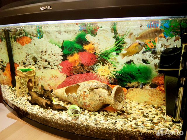 Продам аквариум aquael 100 литров