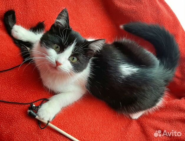 Малышка Катя Булкина в дар