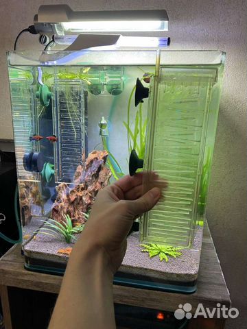 Dennerle maxi flipper co2