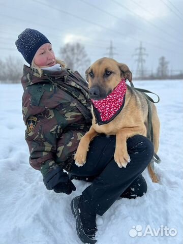 Готов домой ласкаться и радоваться другу