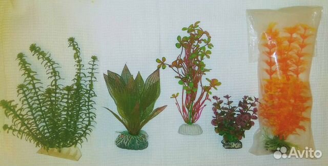 Растения, грунт, сочок, скребок, уголь