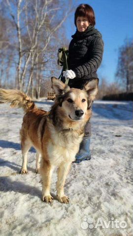 Шикарный Эрик скорее ищет дом