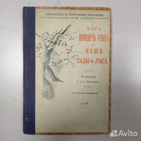 Как привлечь птиц в наши сады и леса