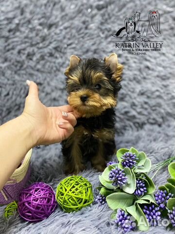 Мальчик красавчик