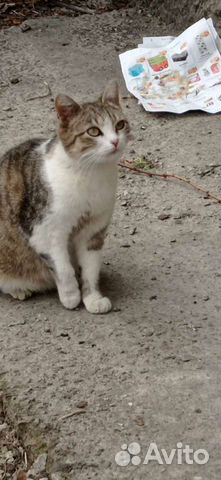 Её ждет улица