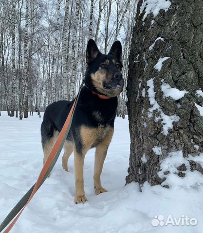 Каждый день ему страшно