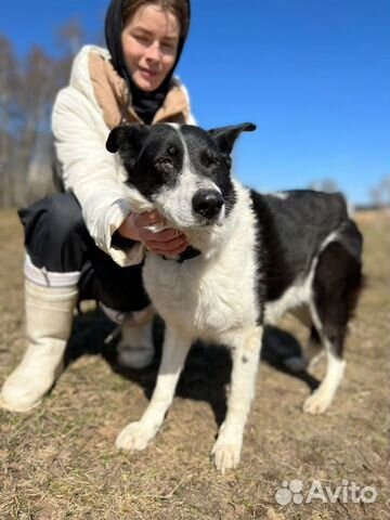 Долгие годы в темной клетке