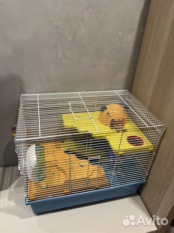 Сирийский хомяк с клеткой